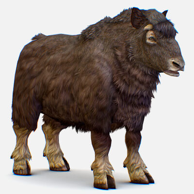 Musk Ox Mammal Musk Oxen Bison Animal Large Wool - 3D Model by LiveBook3D