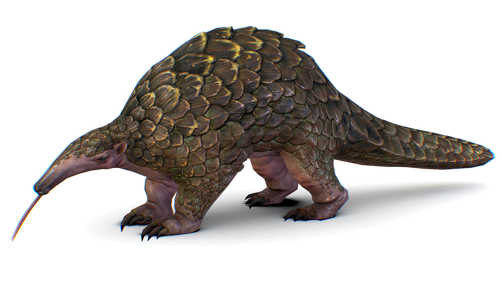 Pangolin Ground Wild Giant Animal Smutsia - 3D Model by LiveBook3D
