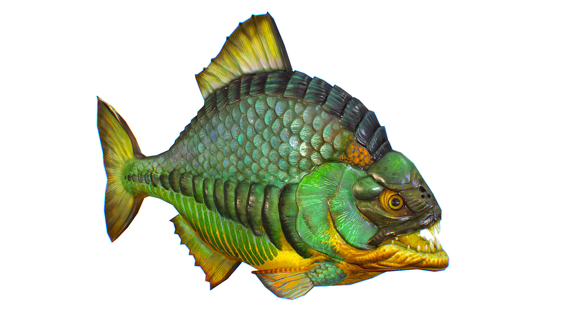 Wallpaper Of The Amazon River Fish