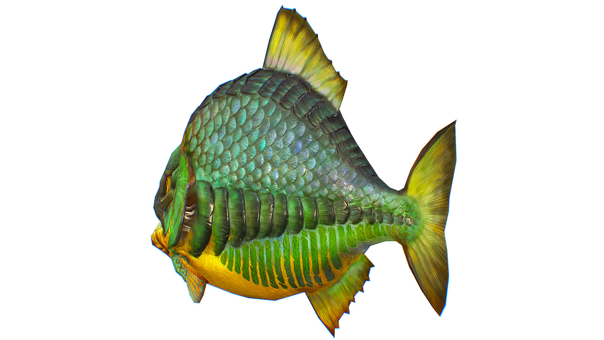 Piranha Predator Monster Fish Amazon River - 3D Model by LiveBook3D