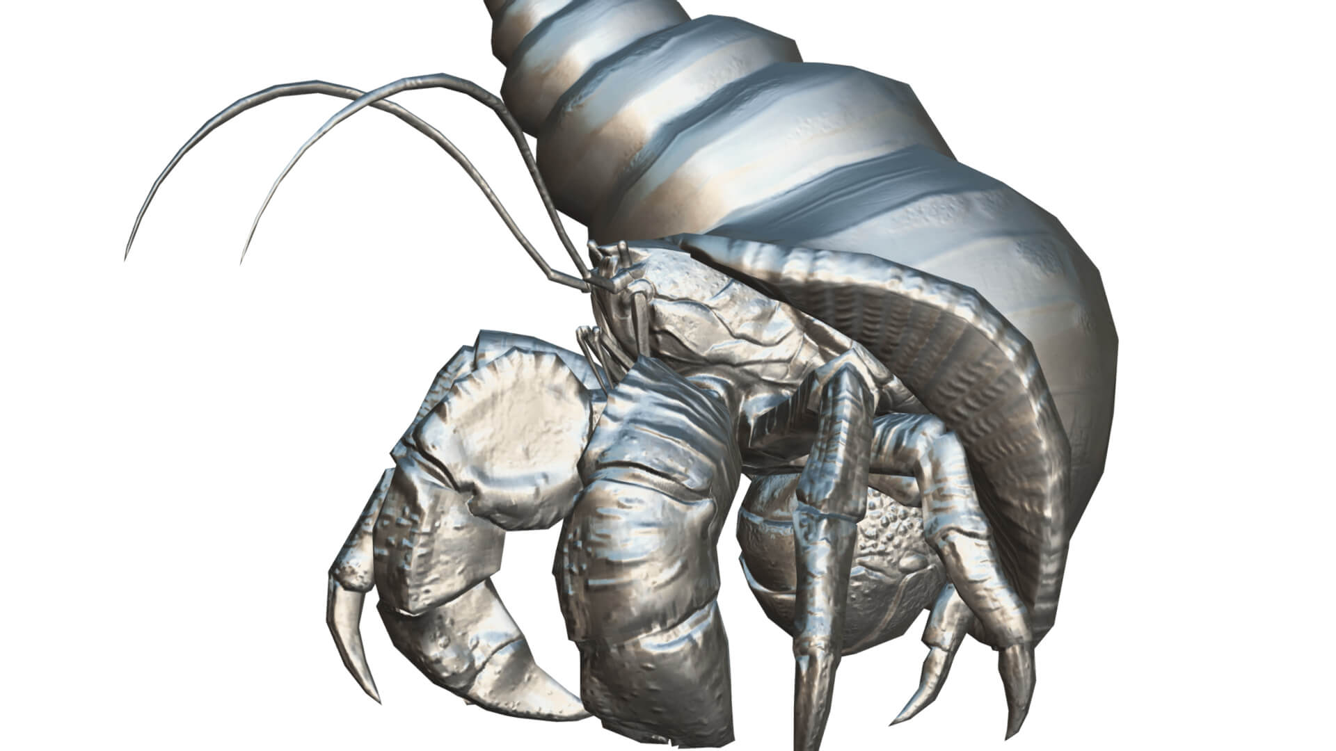 Blue Giant Crab Shell Crayfish Arthropods Sea Animal - 3D Model by ...