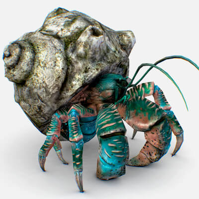 Blue Giant Crab Shell Crayfish Arthropods Sea Animal - 3D Model by ...