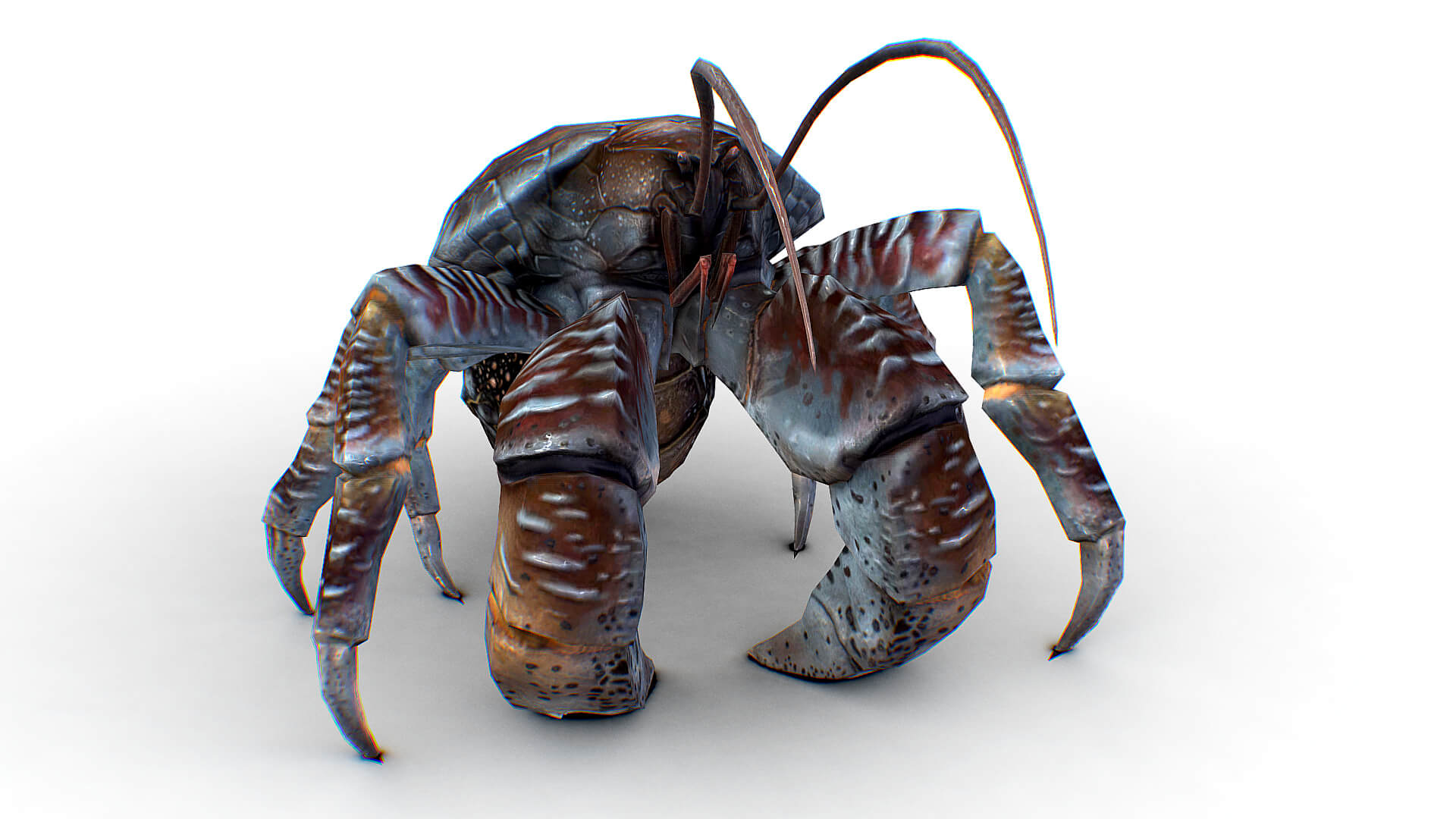 Gray Giant Crab Shell Crayfish Arthropods Sea Animal - 3D Model by ...