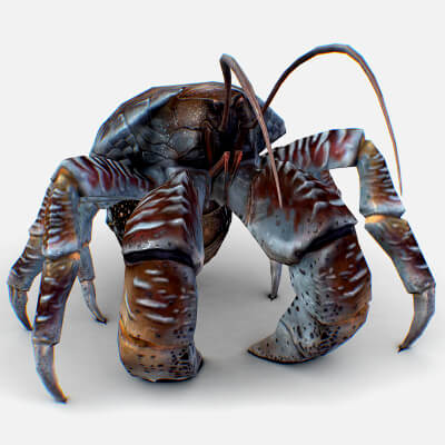 Gray Giant Crab Shell Crayfish Arthropods Sea Animal - 3D Model by ...