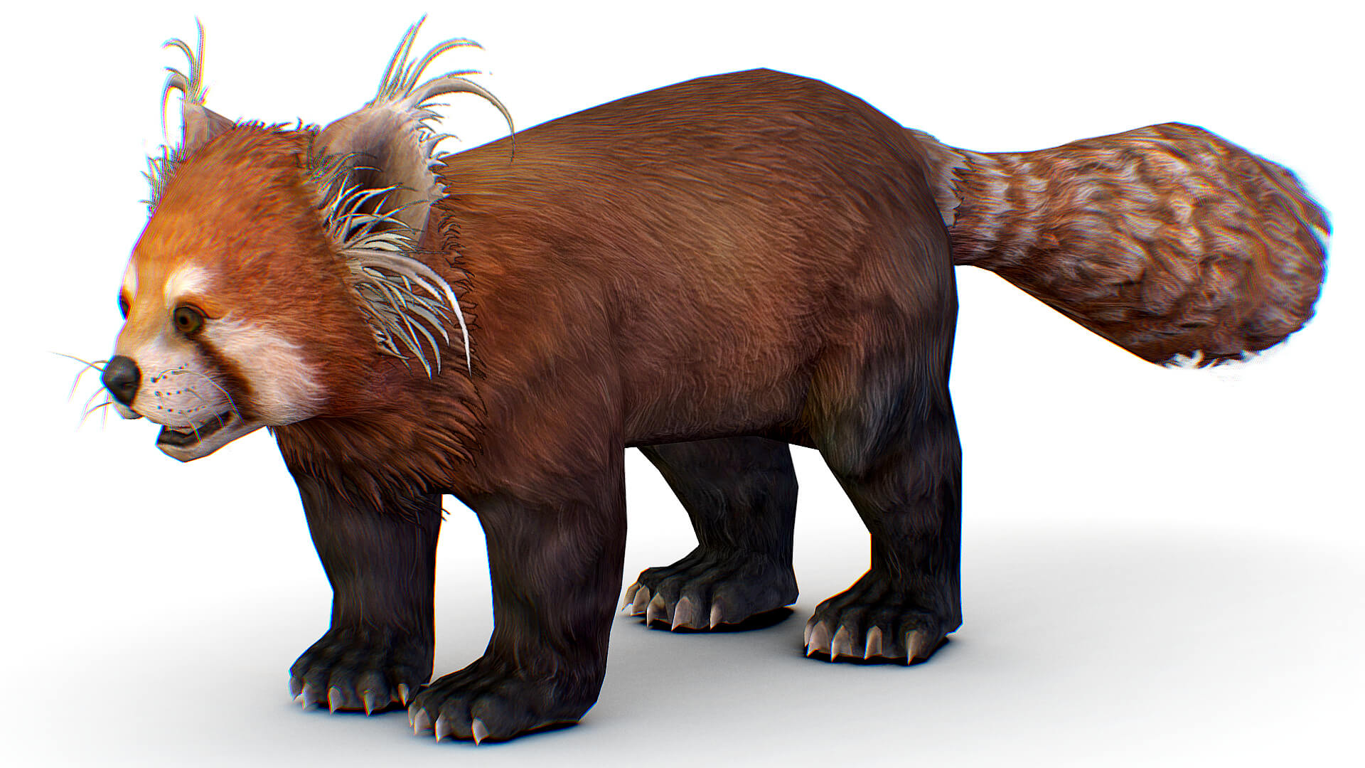 Red Panda Wild Animal Realistic Mammal - 3D Model by LiveBook3D