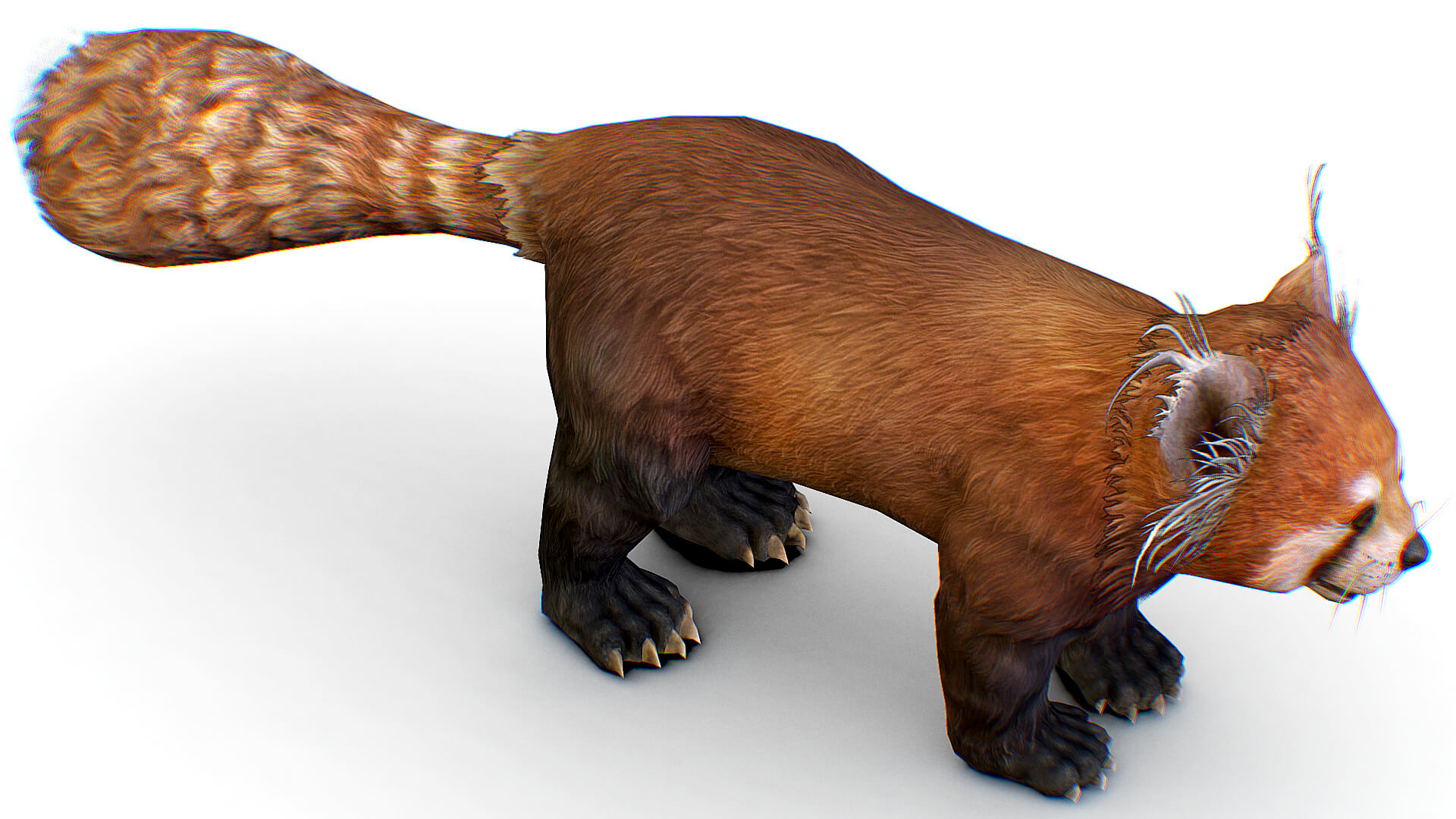 Red Panda Wild Animal Realistic Mammal - 3D Model by LiveBook3D