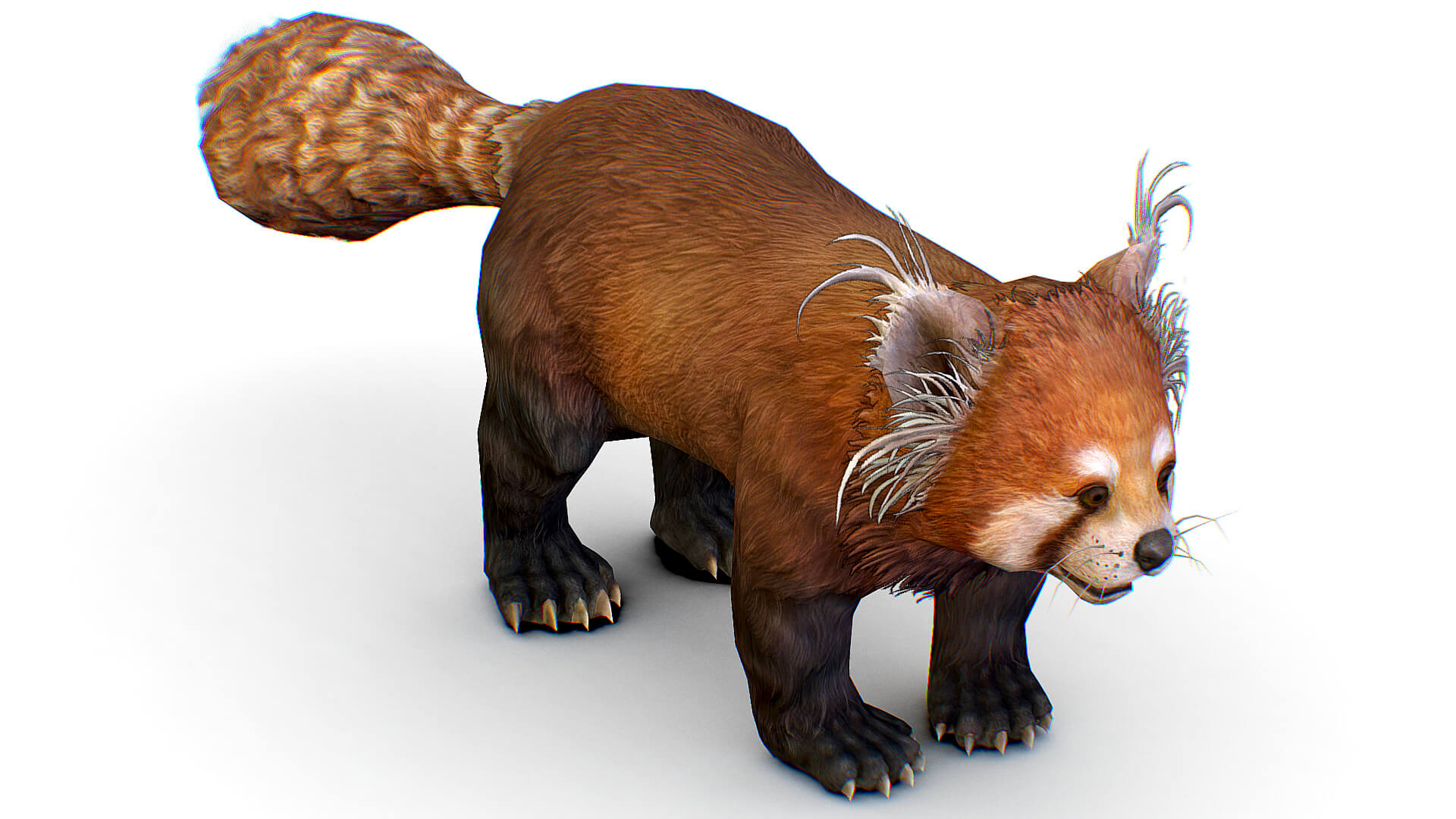 Red Panda Wild Animal Realistic Mammal - 3D Model by LiveBook3D