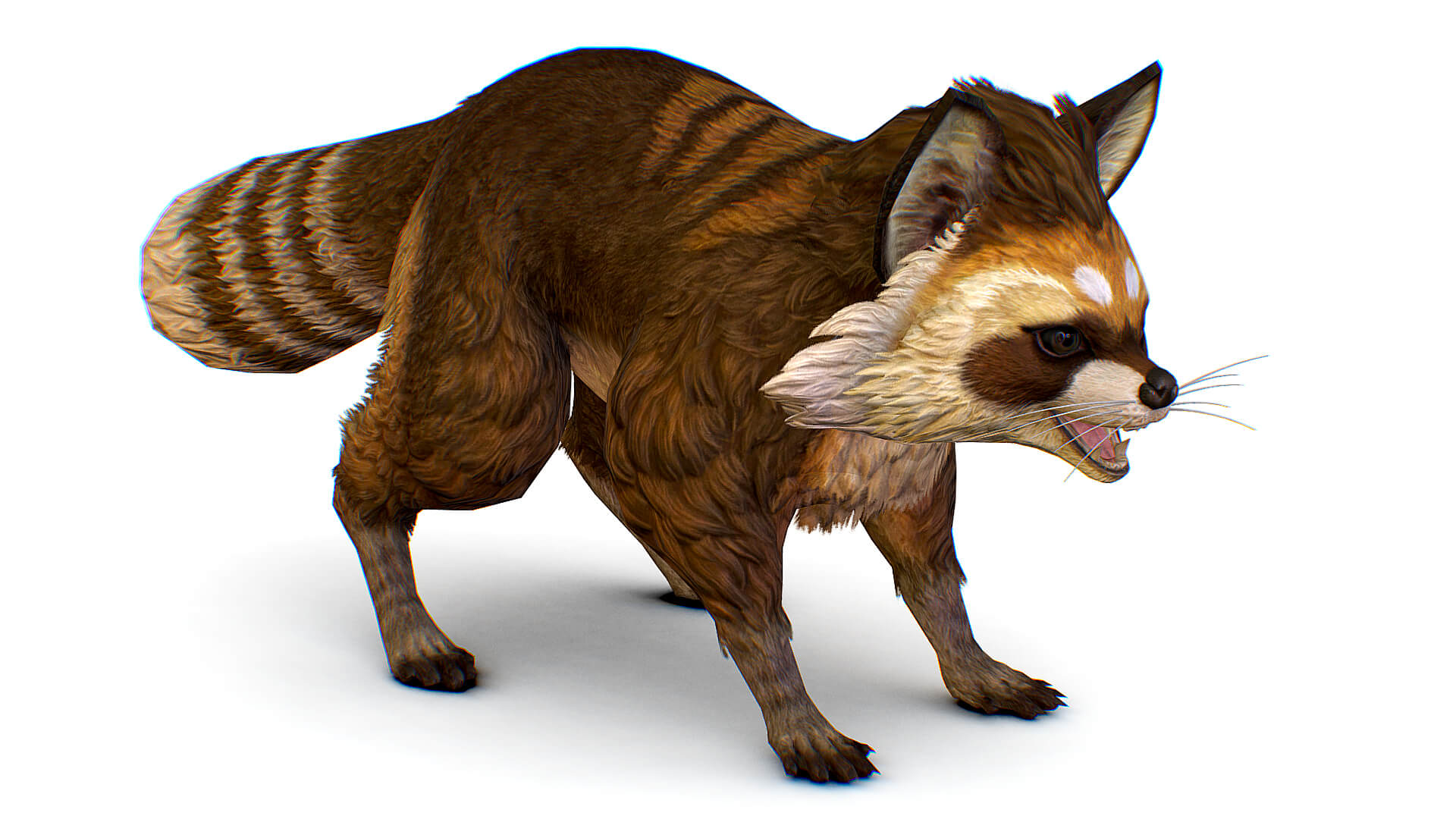 Red Raccoon Procyon Dog Animal Opossum Mammal - 3D Model by LiveBook3D