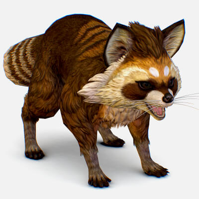 Red Raccoon Procyon Dog Animal Opossum Mammal - 3D Model by LiveBook3D
