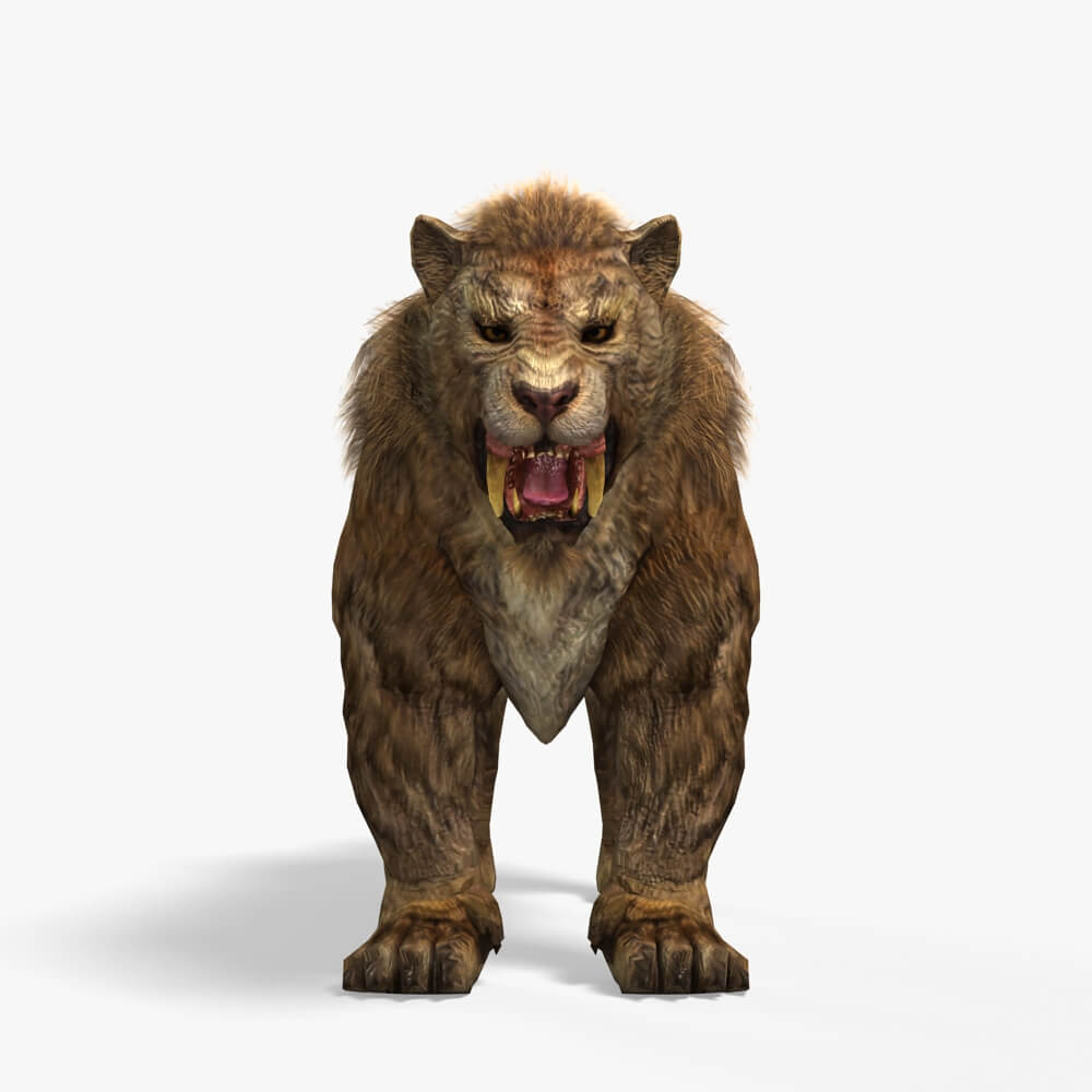 Saber Toothed Tiger Cave Lion Wild Cat Brown 3D Model by LiveBook3D