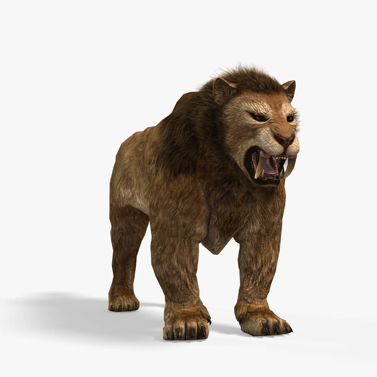 Saber Toothed Tiger Cave Lion Wild Cat Brown - 3D Model by LiveBook3D
