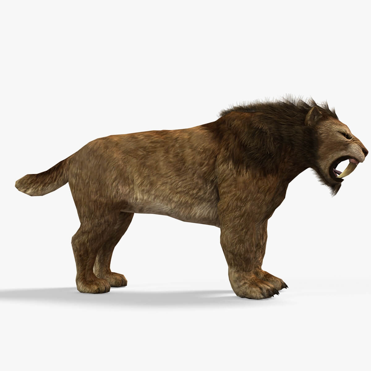 Saber Toothed Tiger Cave Lion Wild Cat Brown - 3D Model by LiveBook3D