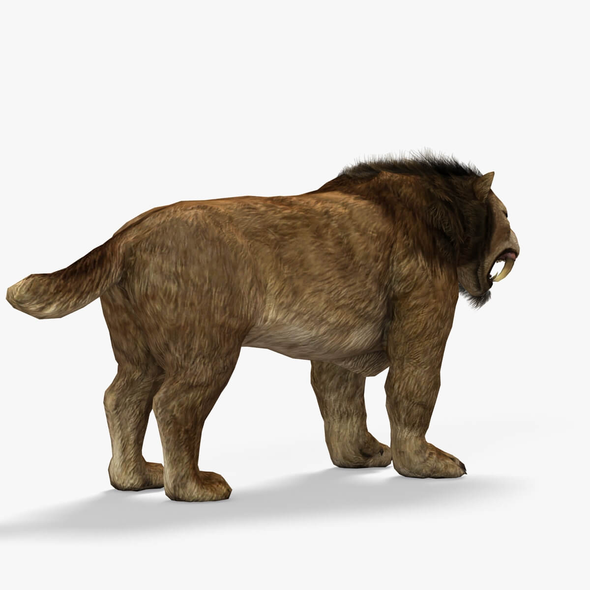 Saber Toothed Tiger Cave Lion Wild Cat Brown - 3D Model by LiveBook3D