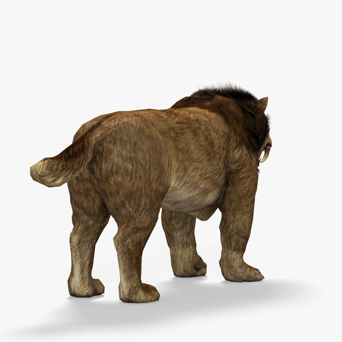 Saber Toothed Tiger Cave Lion Wild Cat Brown - 3D Model by LiveBook3D