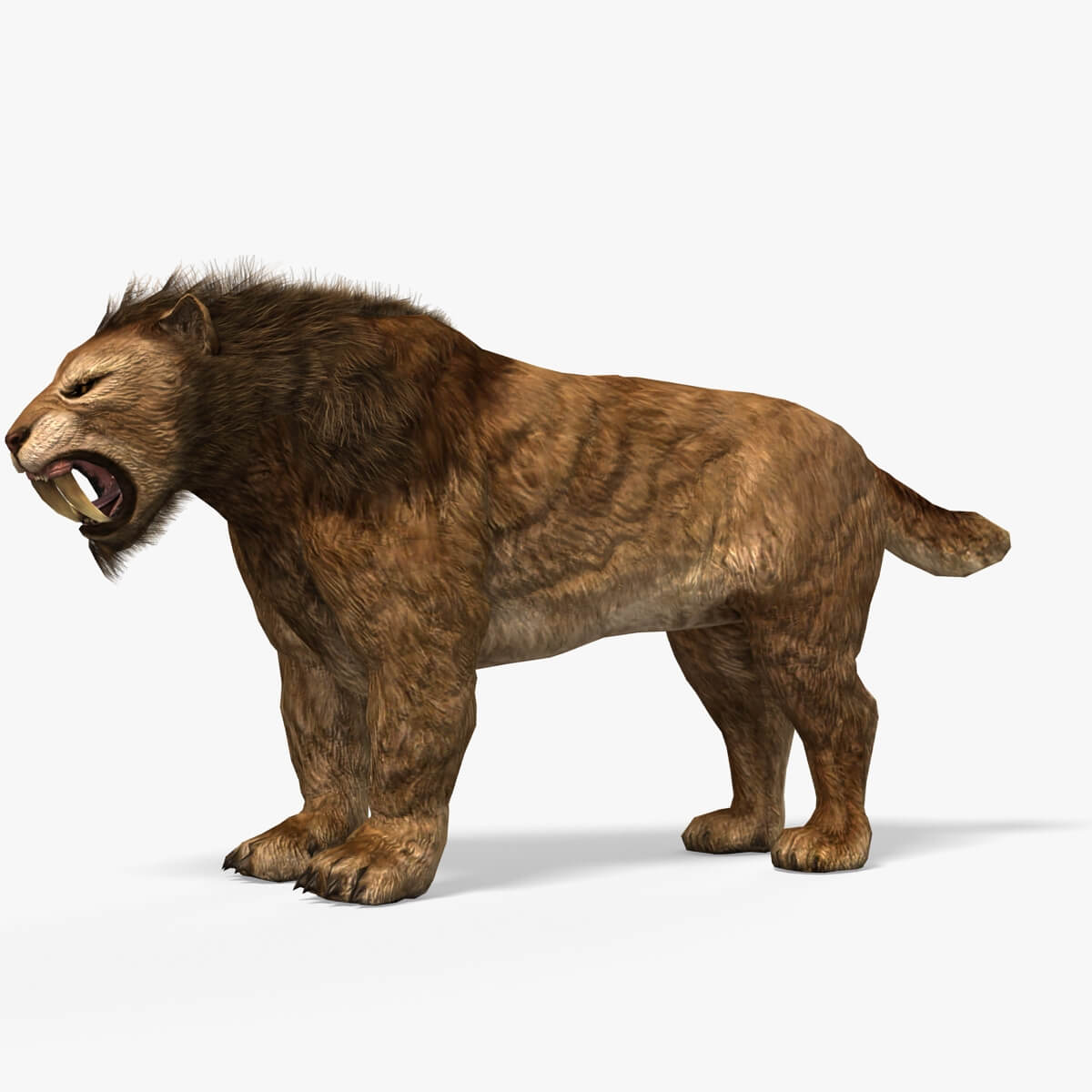 Saber Toothed Tiger Cave Lion Wild Cat Brown - 3D Model by LiveBook3D