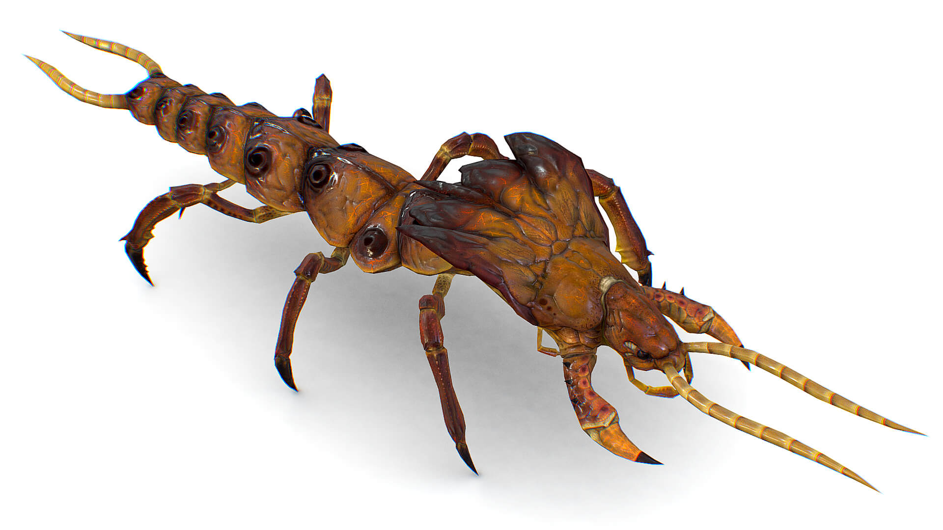 Scolopendra Gigantea Centipede Insect Animal Monster - 3D Model by ...