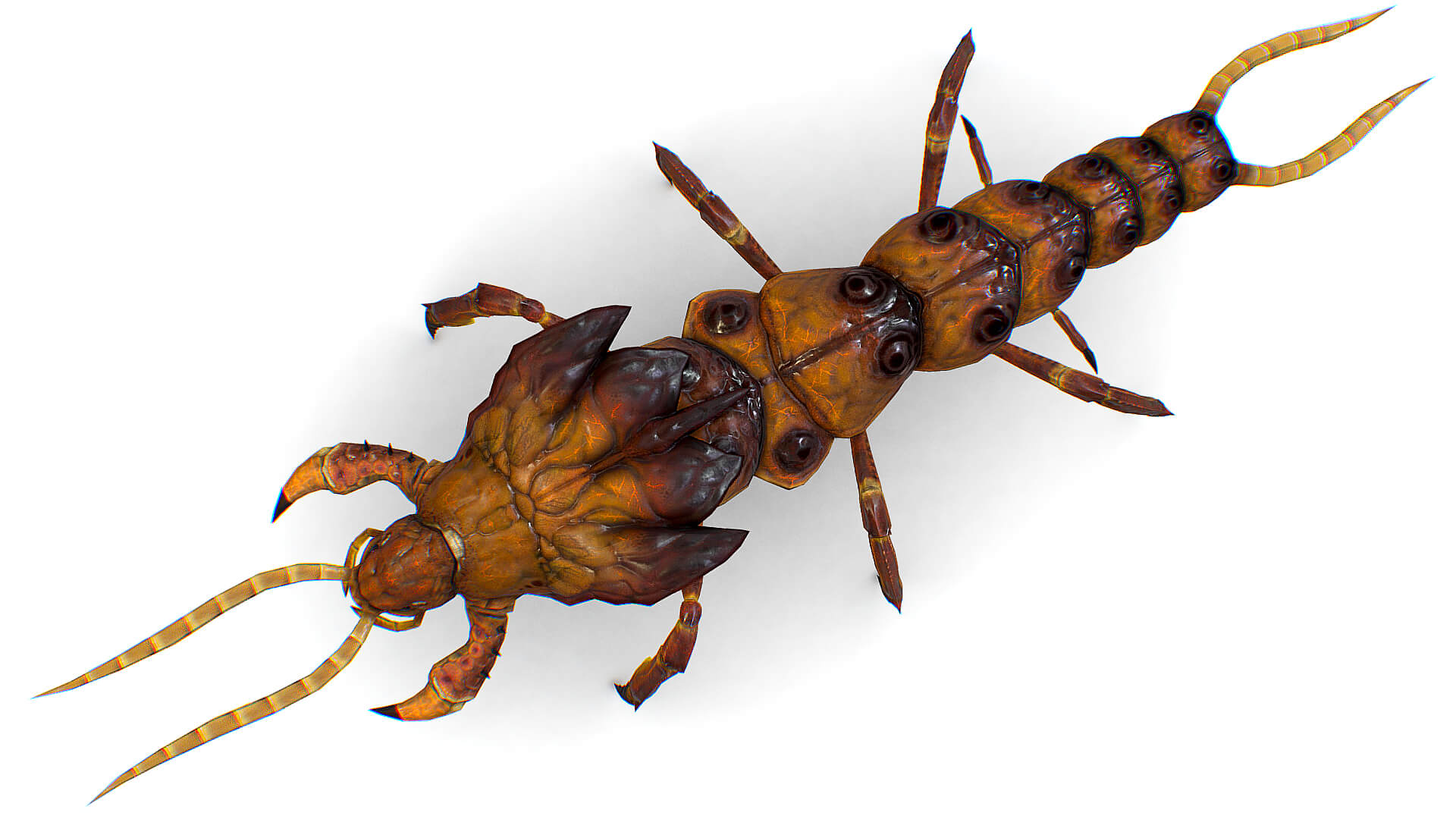Scolopendra Gigantea Centipede Insect Animal Monster - 3D Model by ...