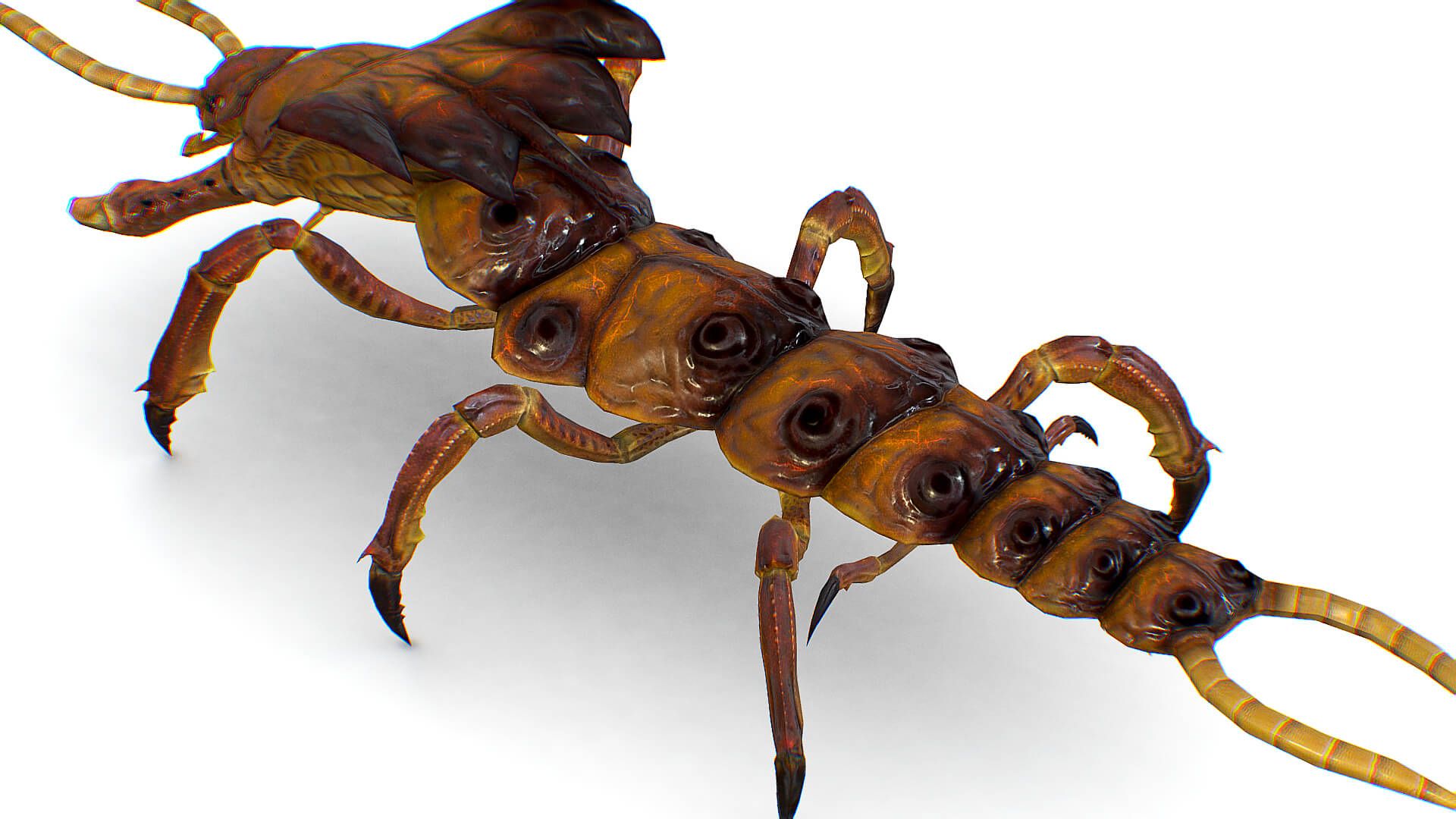 Scolopendra Gigantea Centipede Insect Animal Monster - 3D Model by ...