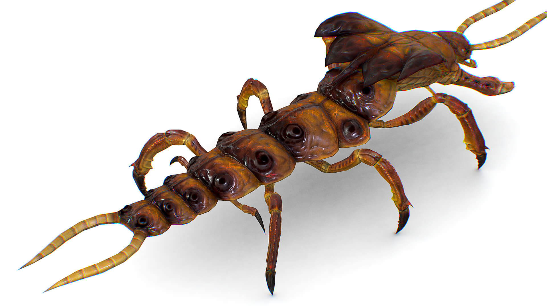 Scolopendra Gigantea Centipede Insect Animal Monster - 3D Model by ...