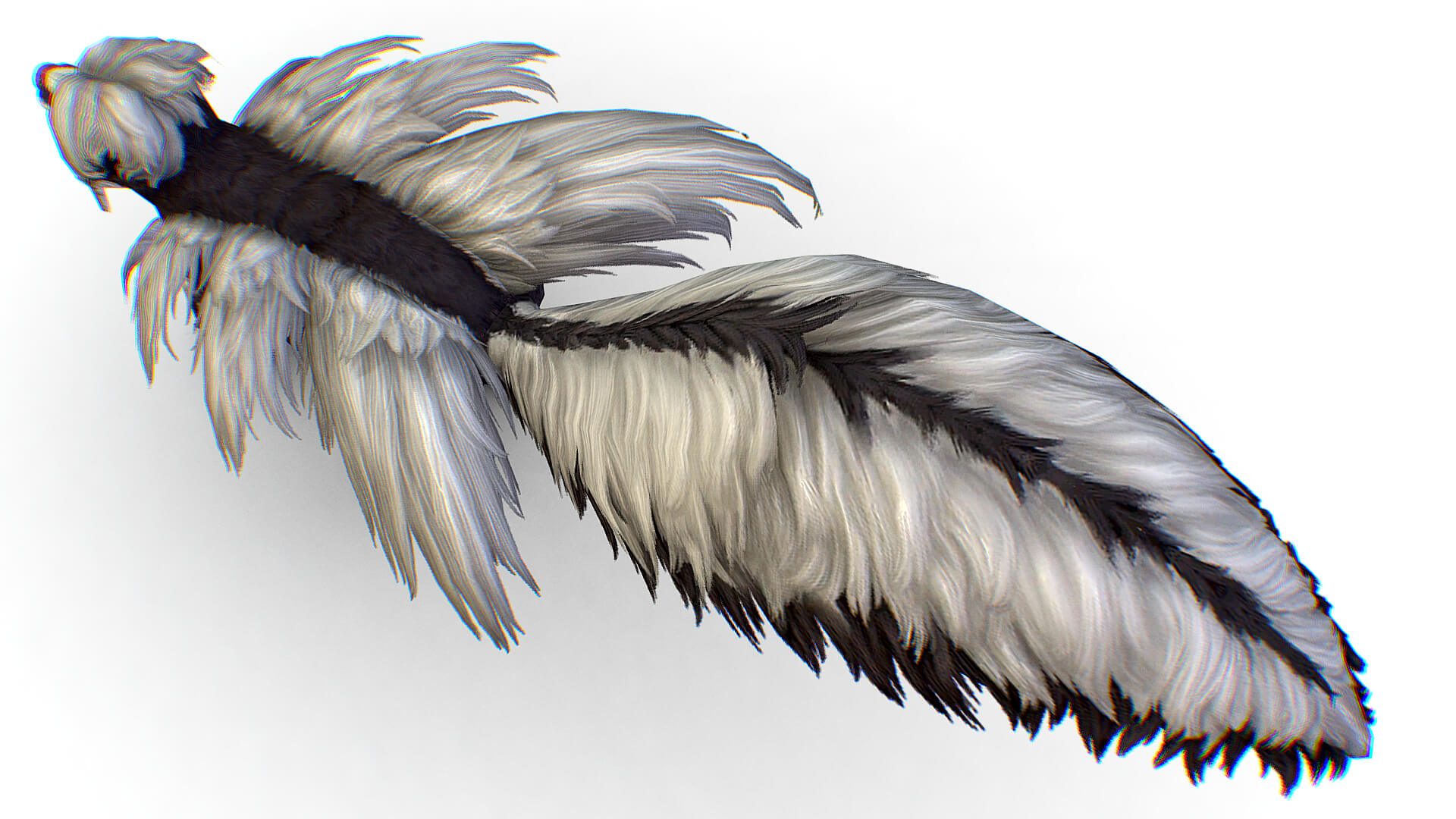 Skunk Animal Wild Low-Poly Realistic Mammal 3D Model by LiveBook3D