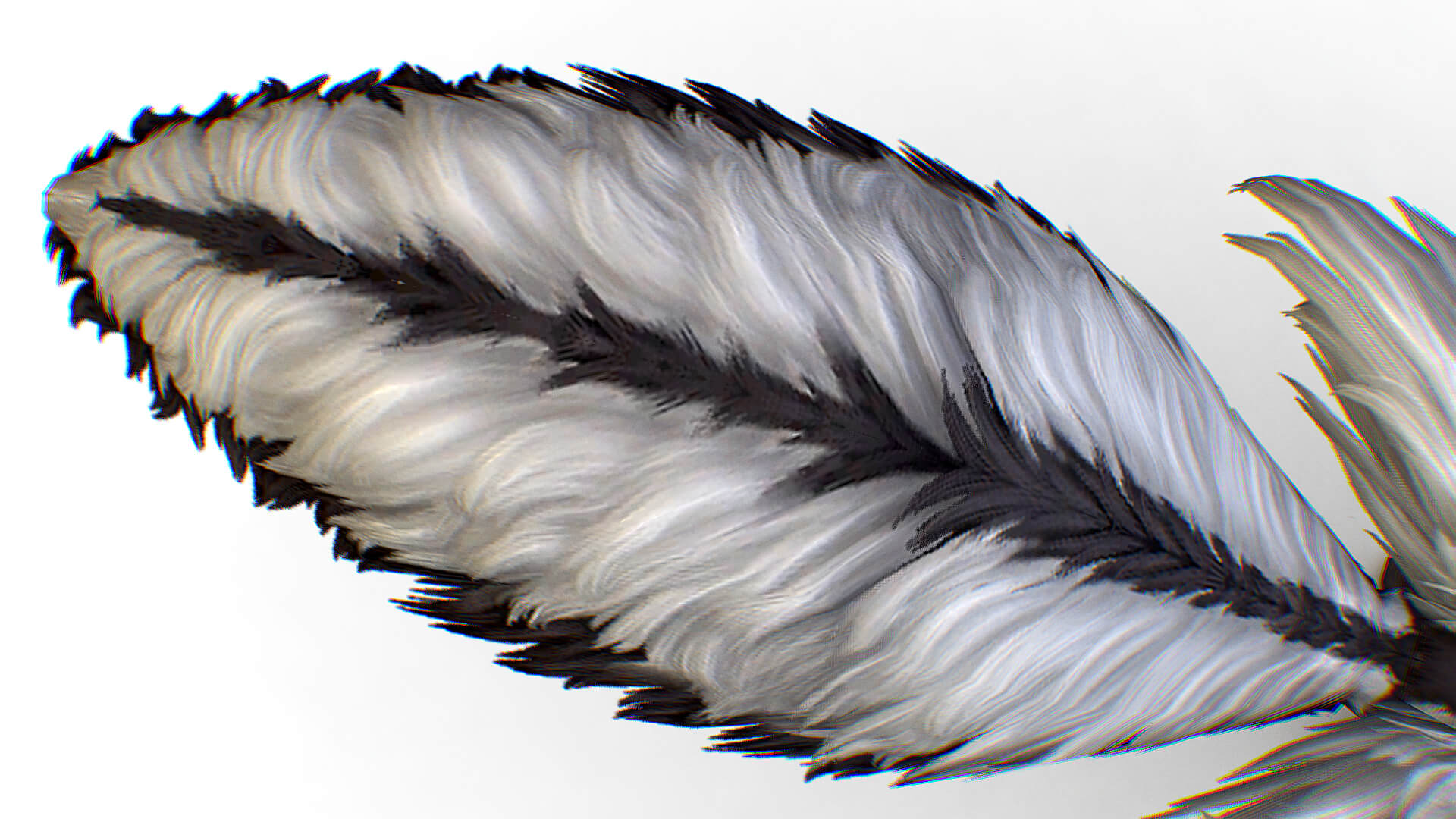 Skunk Animal Wild Low-Poly Realistic Mammal 3D Model by LiveBook3D