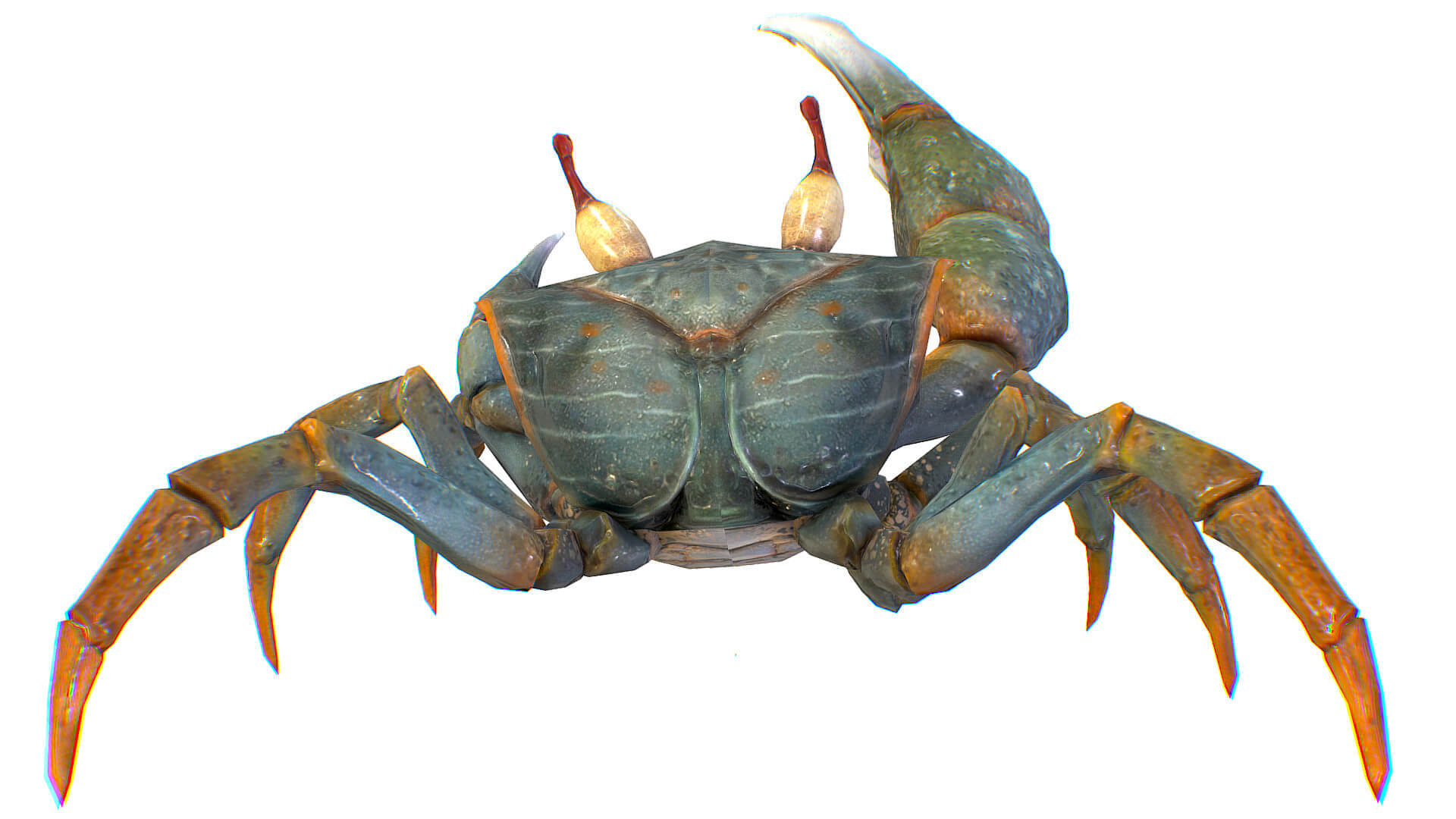 Tasmanian Giant Crab Blue Arthropods Sea Animal - 3D Model by LiveBook3D