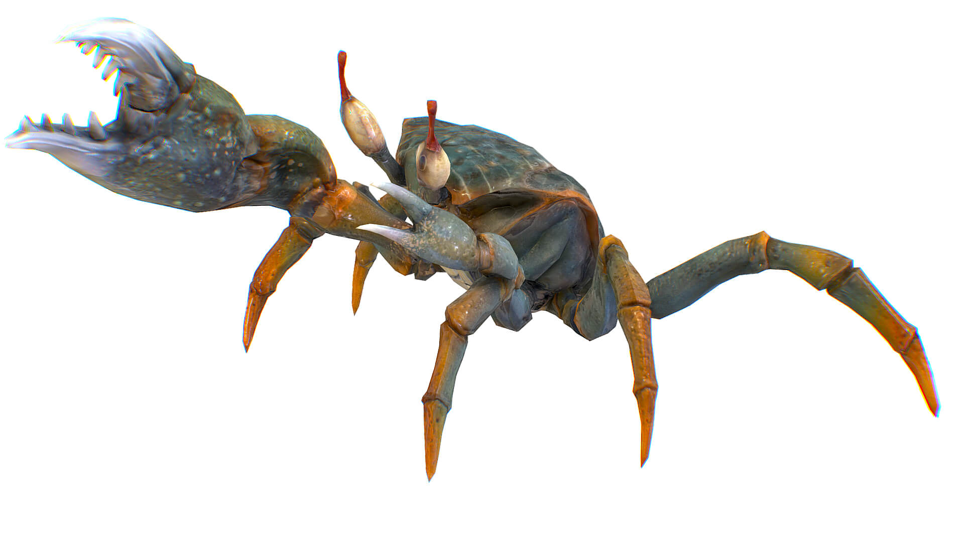 Tasmanian Giant Crab Blue Arthropods Sea Animal - 3D Model by LiveBook3D