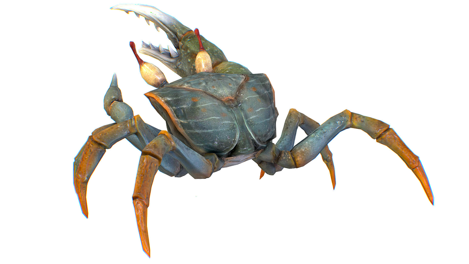 Tasmanian Giant Crab Blue Arthropods Sea Animal - 3D Model by LiveBook3D