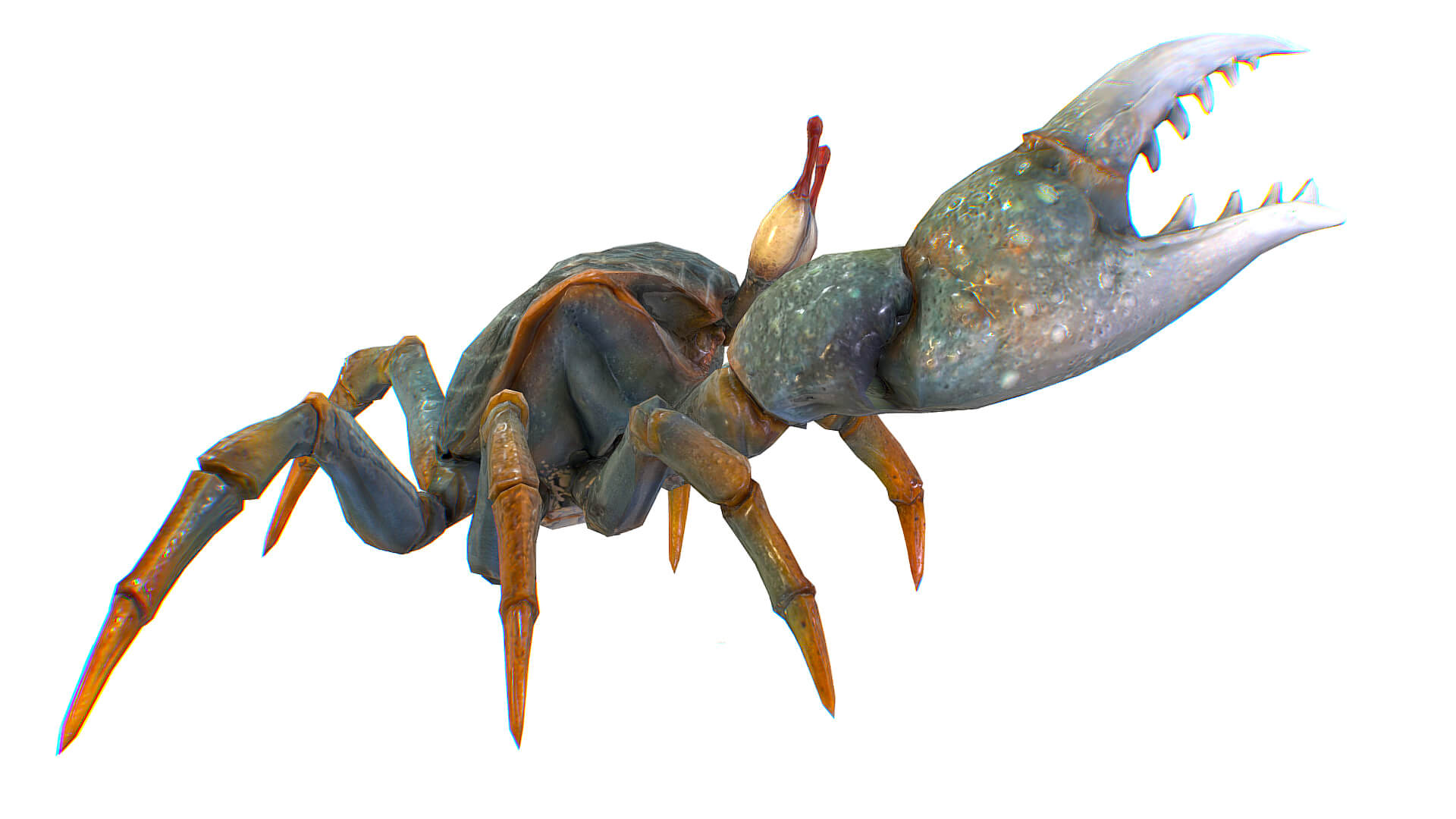 Tasmanian Giant Crab Blue Arthropods Sea Animal - 3D Model by LiveBook3D
