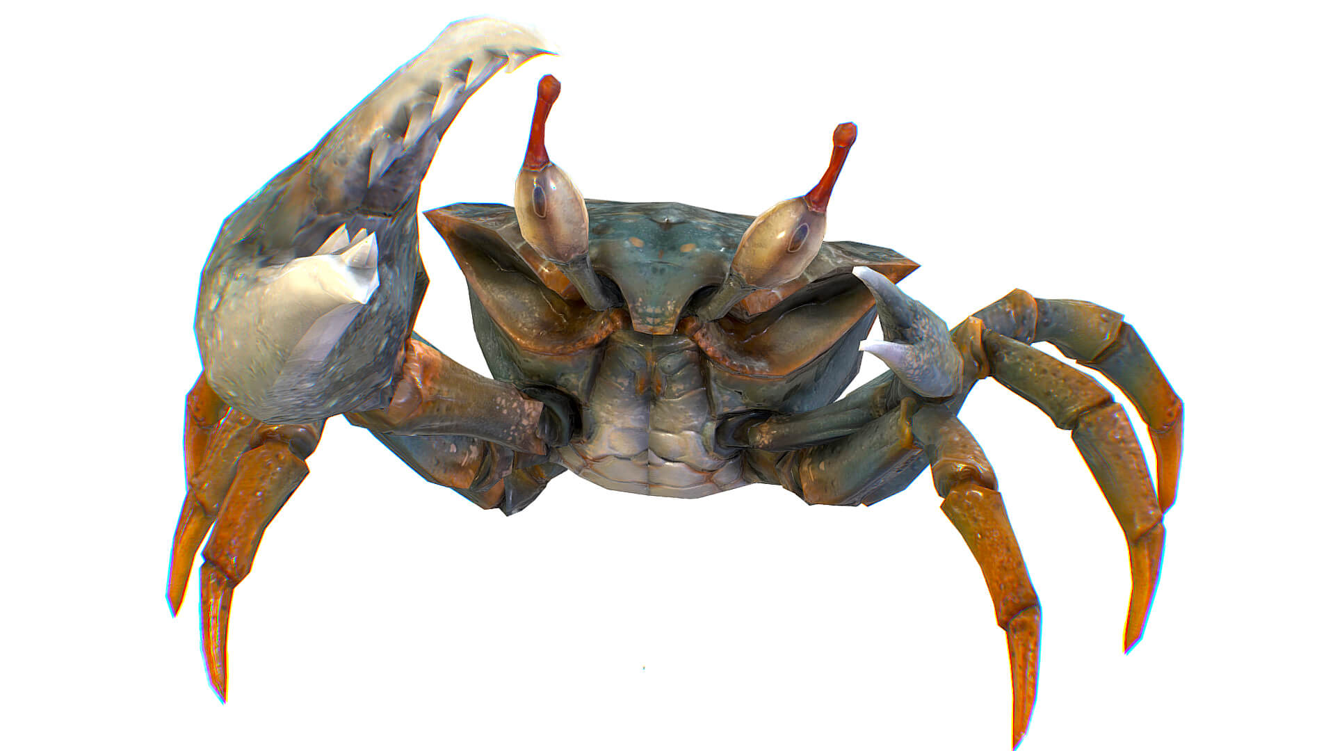 Tasmanian Giant Crab Blue Arthropods Sea Animal - 3D Model by LiveBook3D
