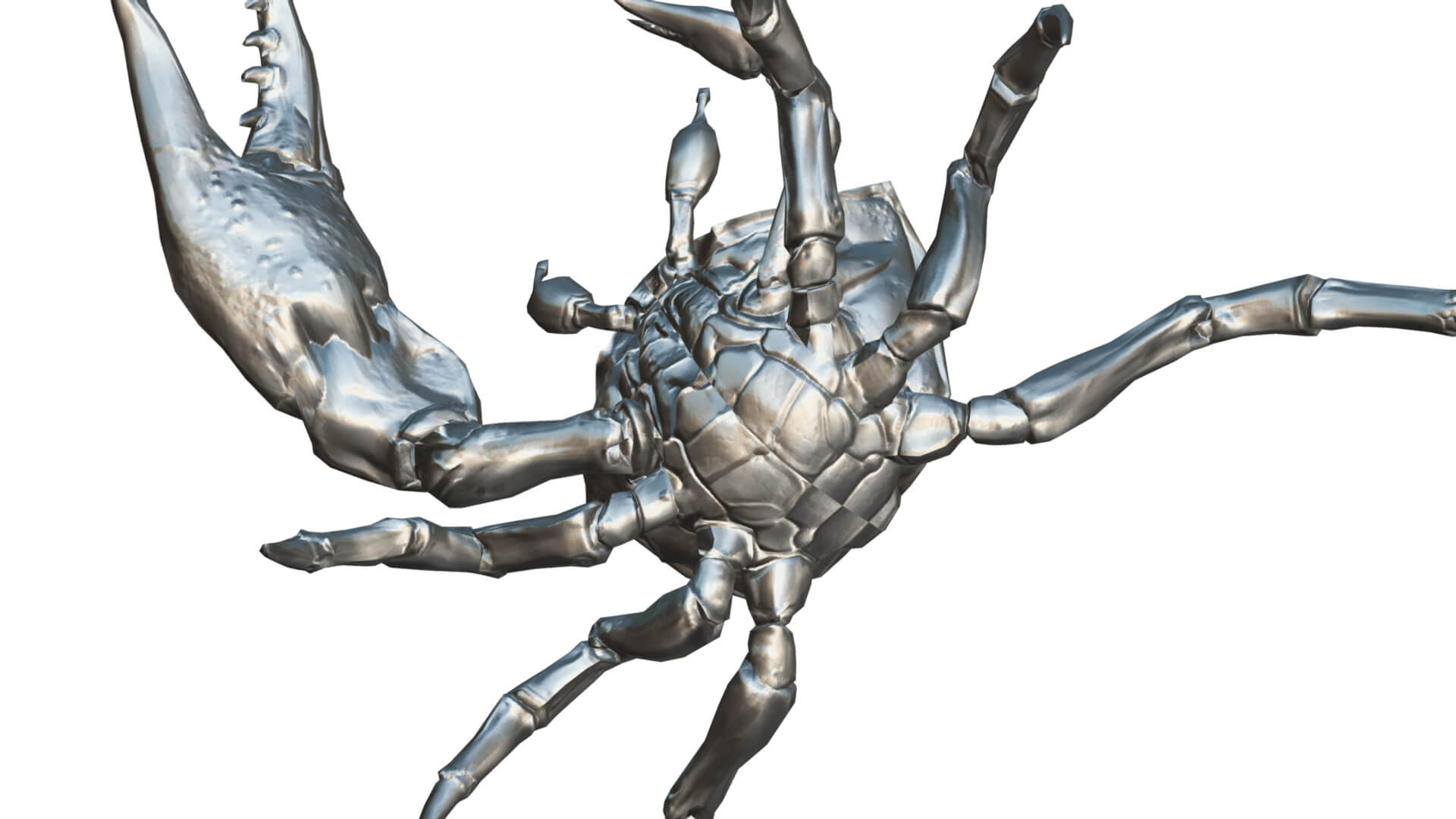 Tasmanian Giant Crab Blue Arthropods Sea Animal - 3D Model by LiveBook3D