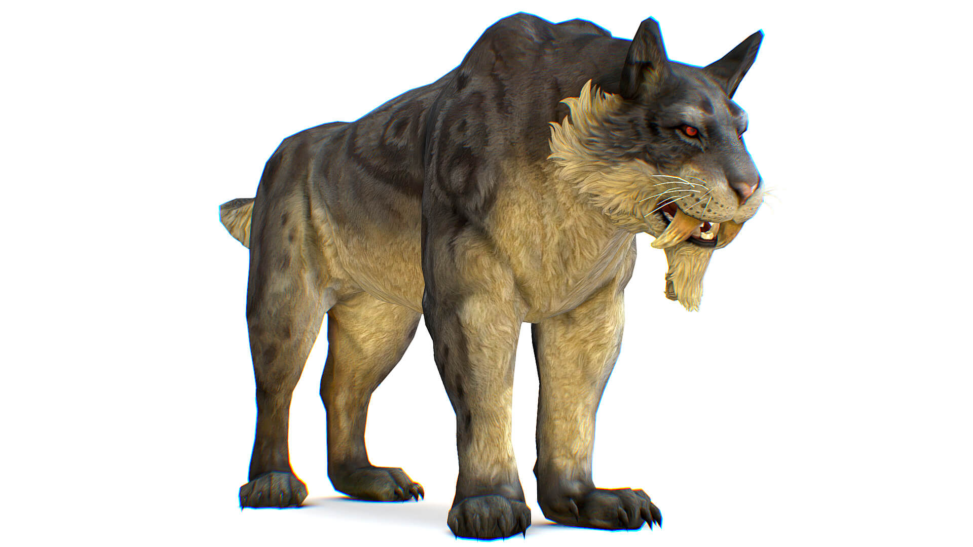 Toothed Tiger Saber Cave Lion Wild Cat Gray - 3D Model by LiveBook3D