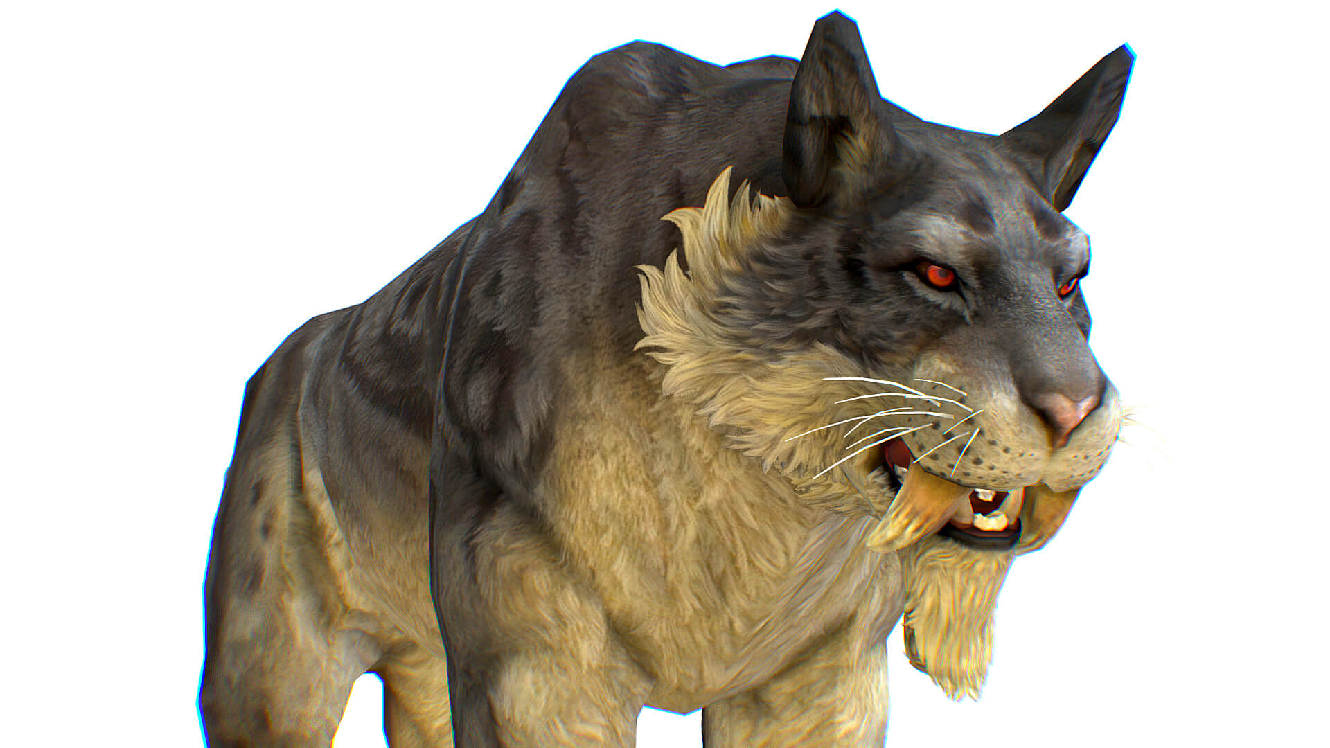 Toothed Tiger Saber Cave Lion Wild Cat Gray - 3D Model by LiveBook3D