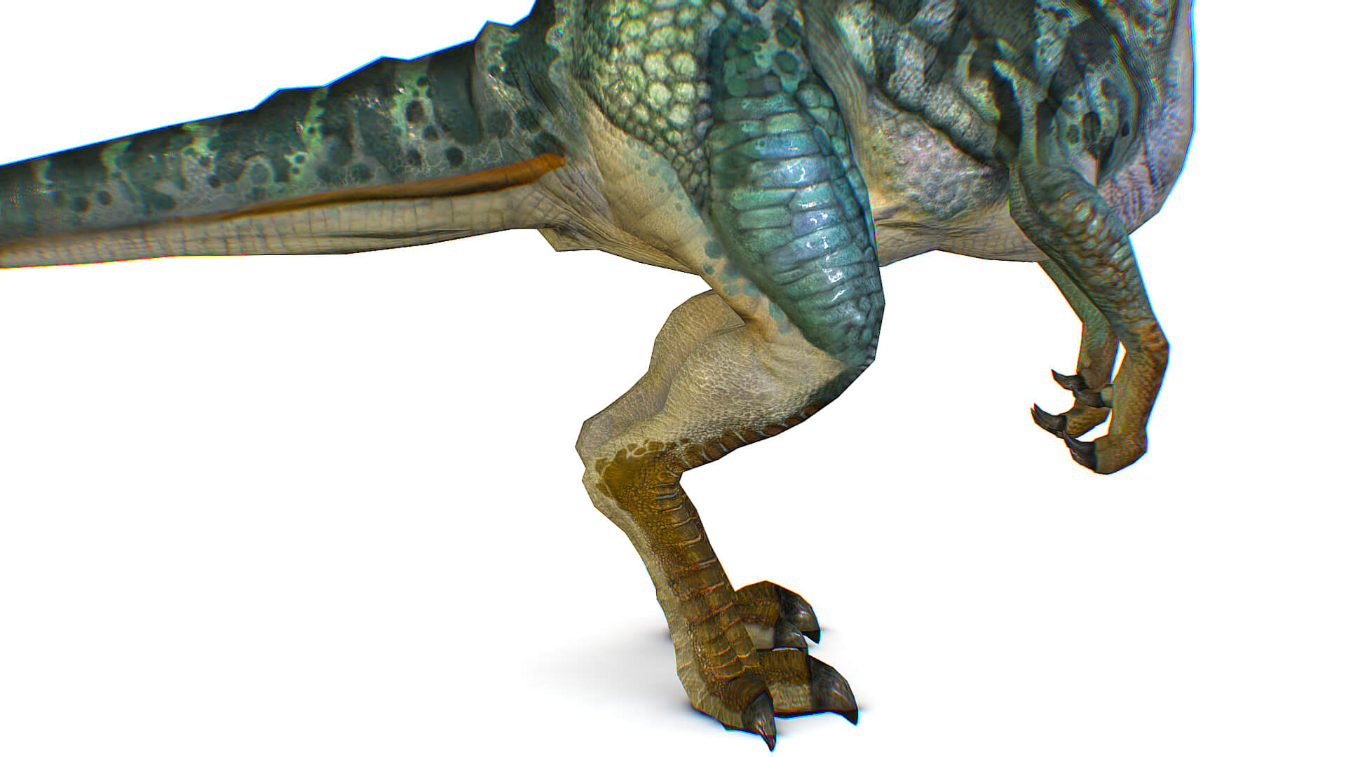 Tyrannosaurus Raptor Dinosaur T-Rex Rex Monster 3D Model by LiveBook3D