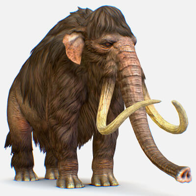 Woolly Mammoth Prehistoric Elephant Wild Animal Mammal - 3D Model by ...