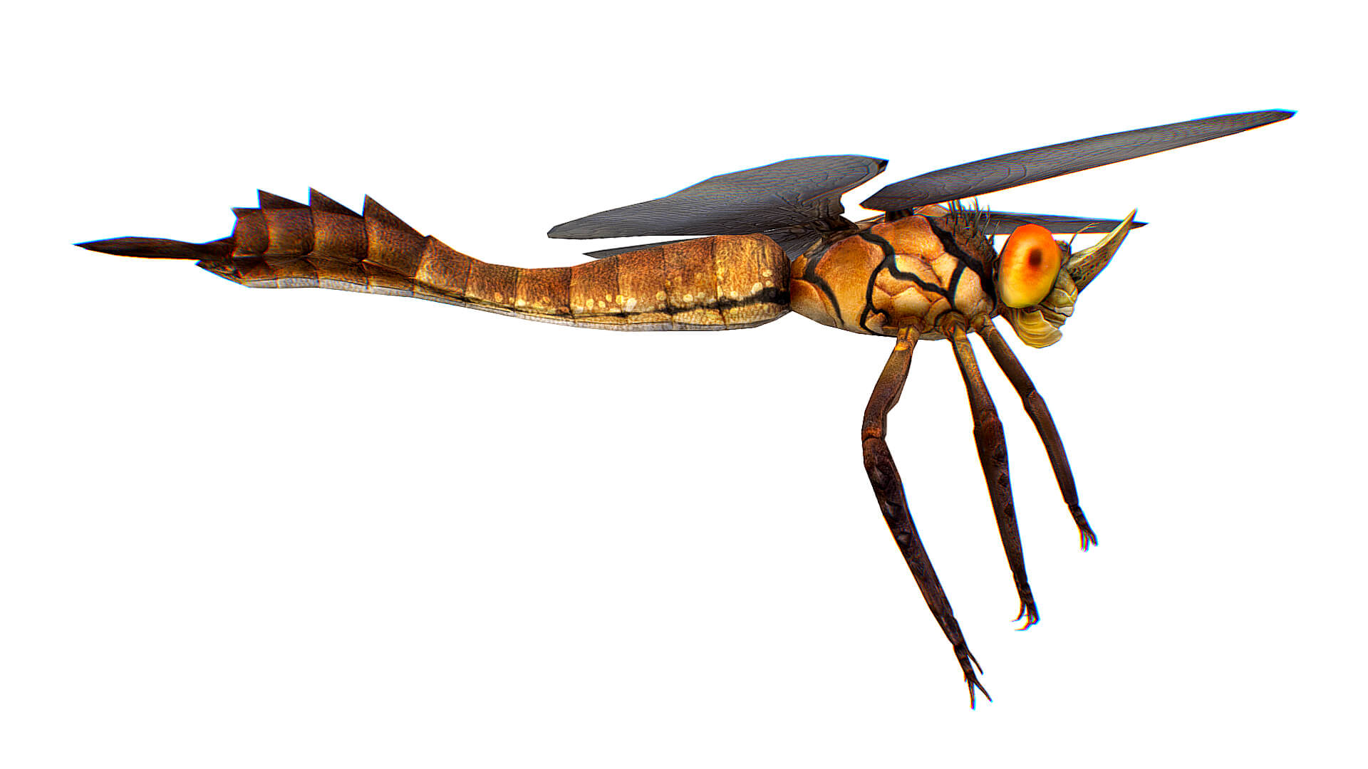 Yellow Dragonfly Damselfly Insect Zygoptera Animal - 3D Model by LiveBook3D