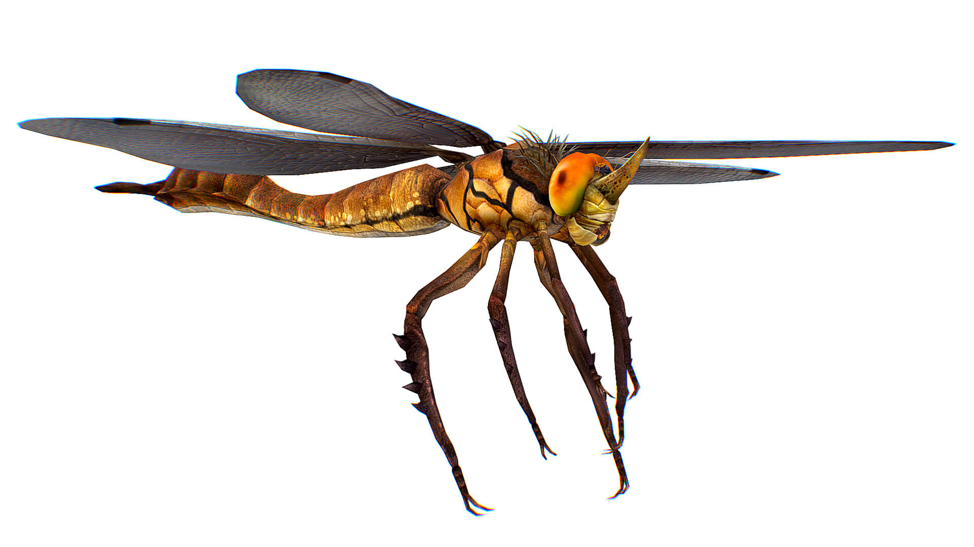 Yellow Dragonfly Damselfly Insect Zygoptera Animal - 3D Model by LiveBook3D