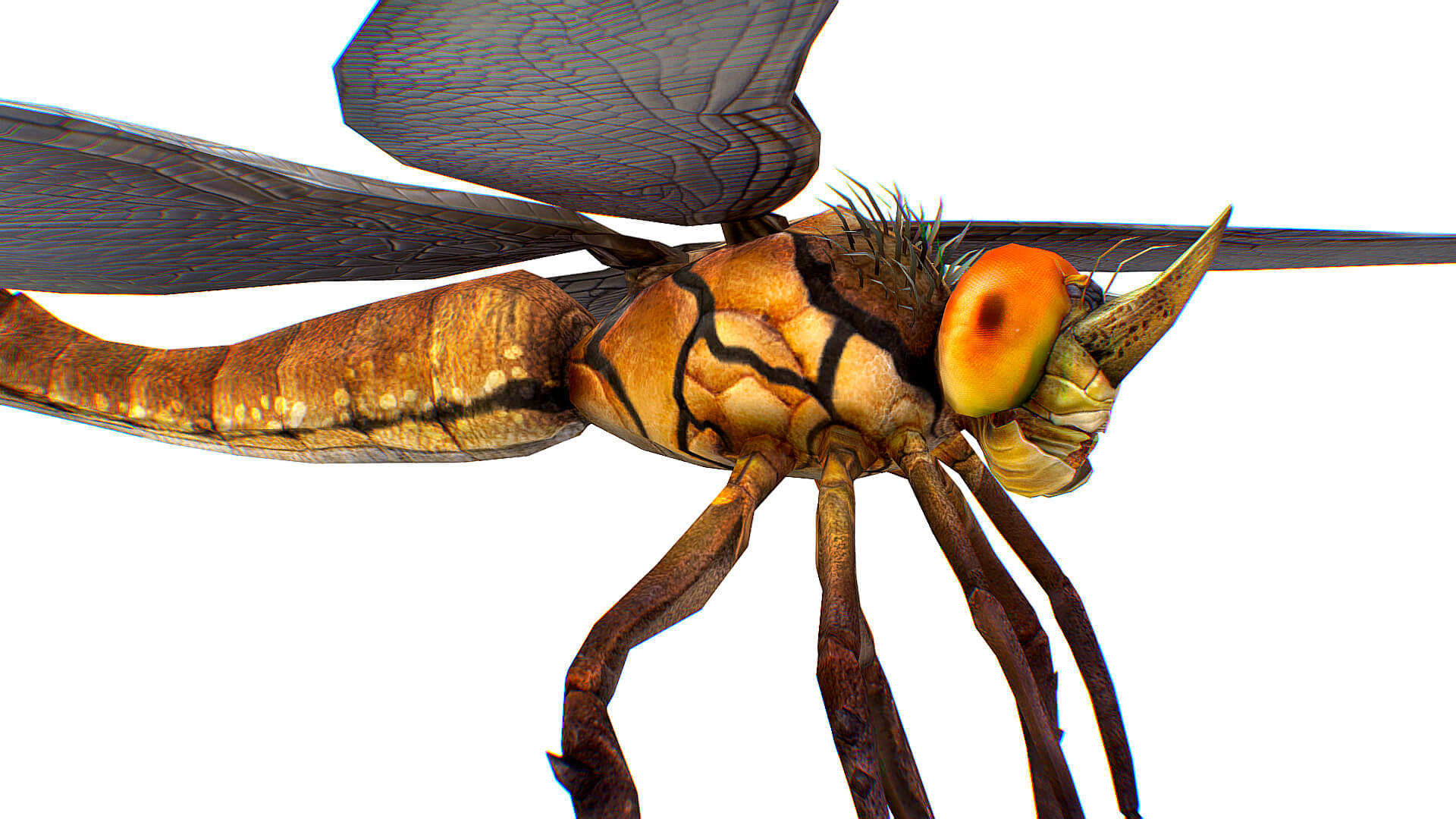 Yellow Dragonfly Damselfly Insect Zygoptera Animal - 3D Model by LiveBook3D