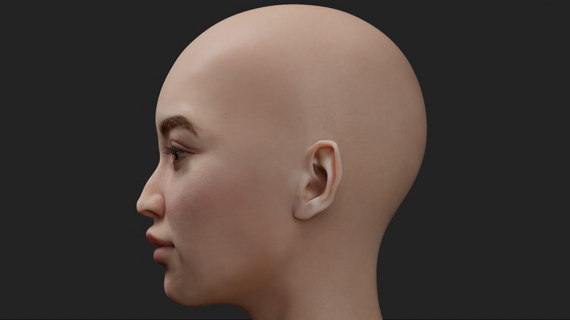 Alice Realistic Female Head 3d Model By Loki31