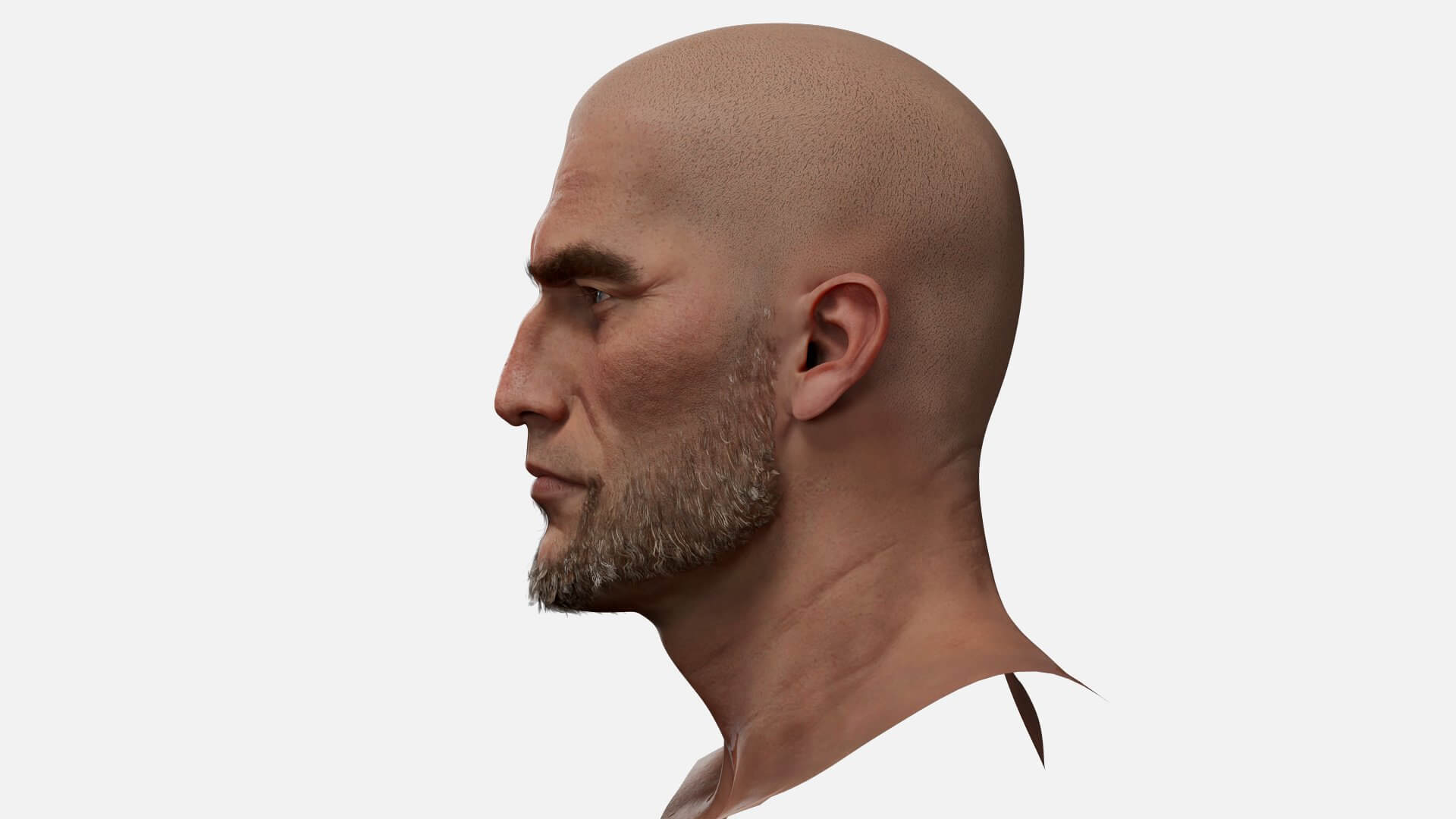 Carlos Realistic Male Head - 3D Model by Loki31
