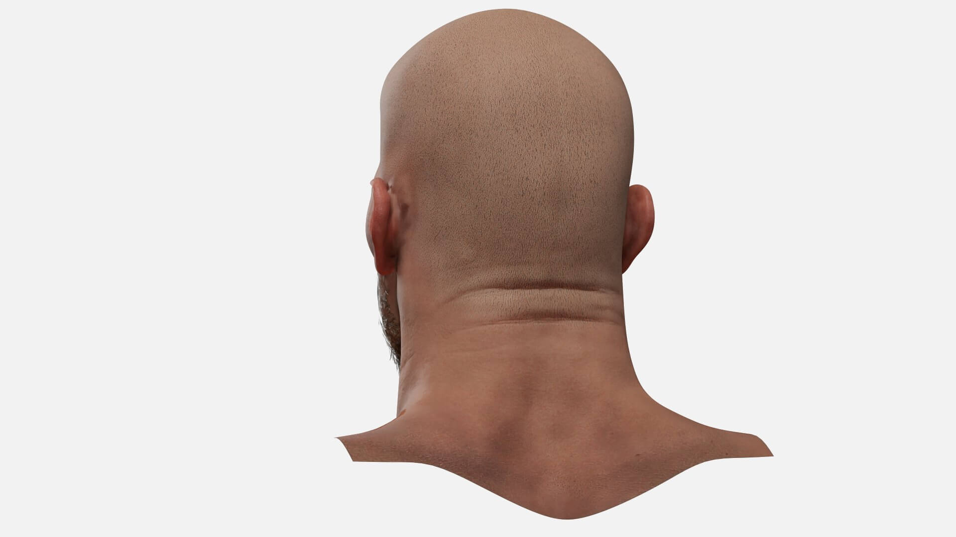 Carlos Realistic Male Head - 3D Model by Loki31