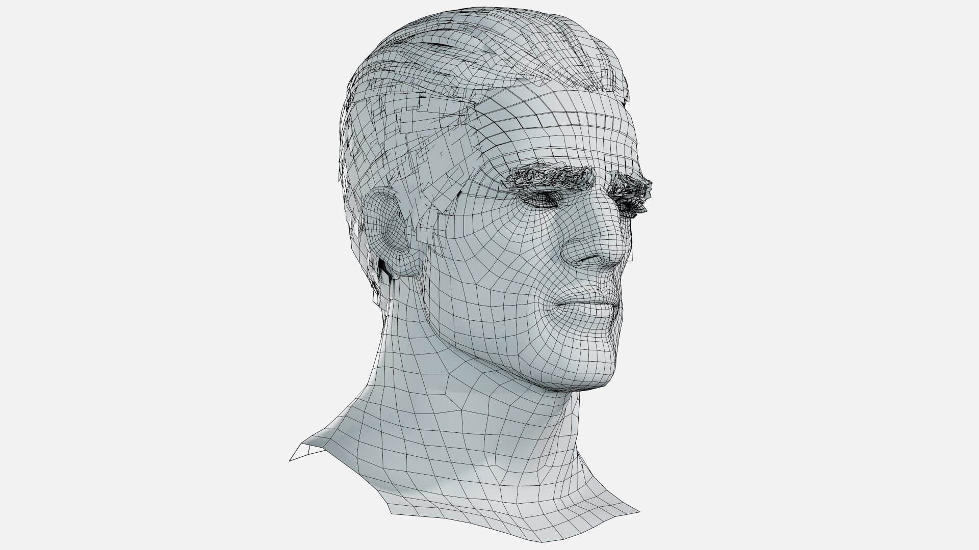 David Realistic Male Head - 3D Model by Loki31