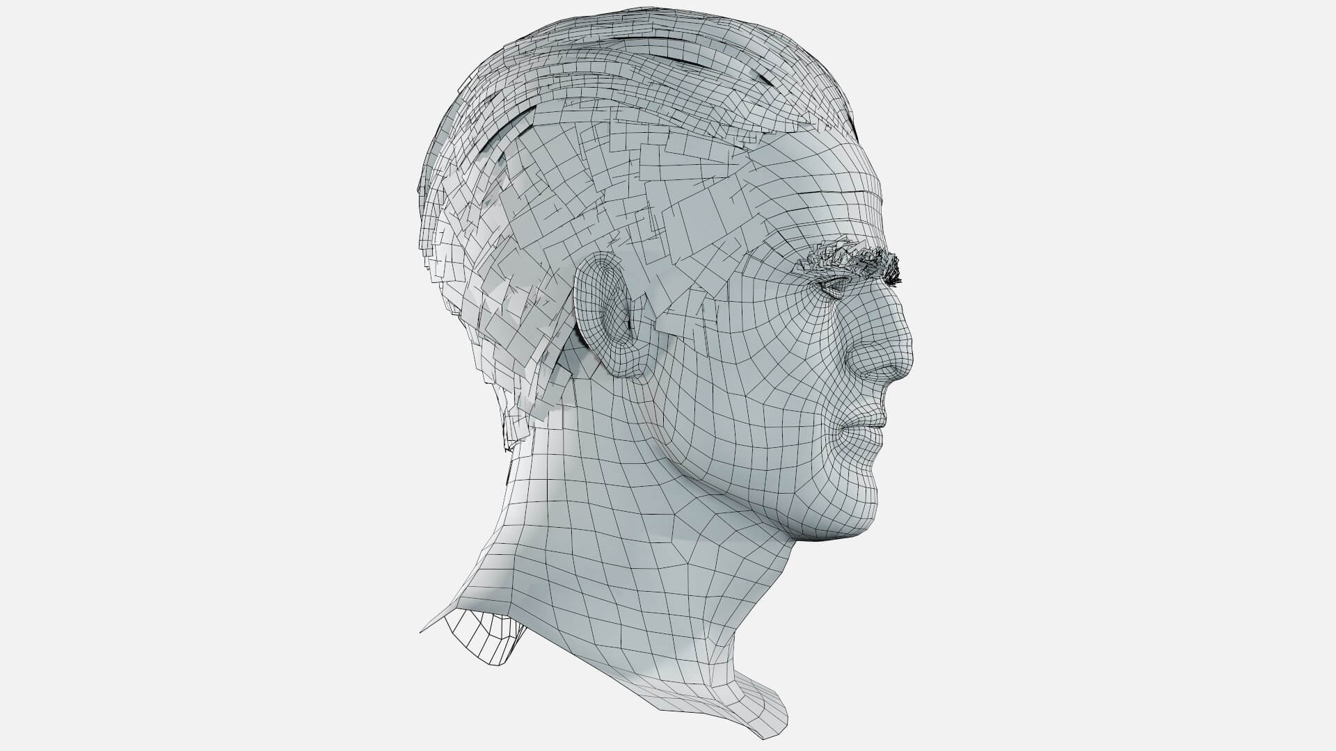 David Realistic Male Head - 3D Model by Loki31