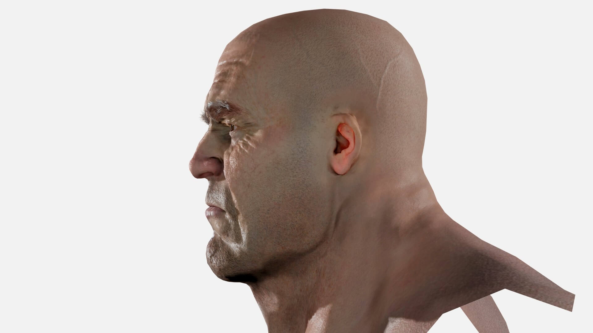 Marshall Realistic Male Head - 3D Model by Loki31