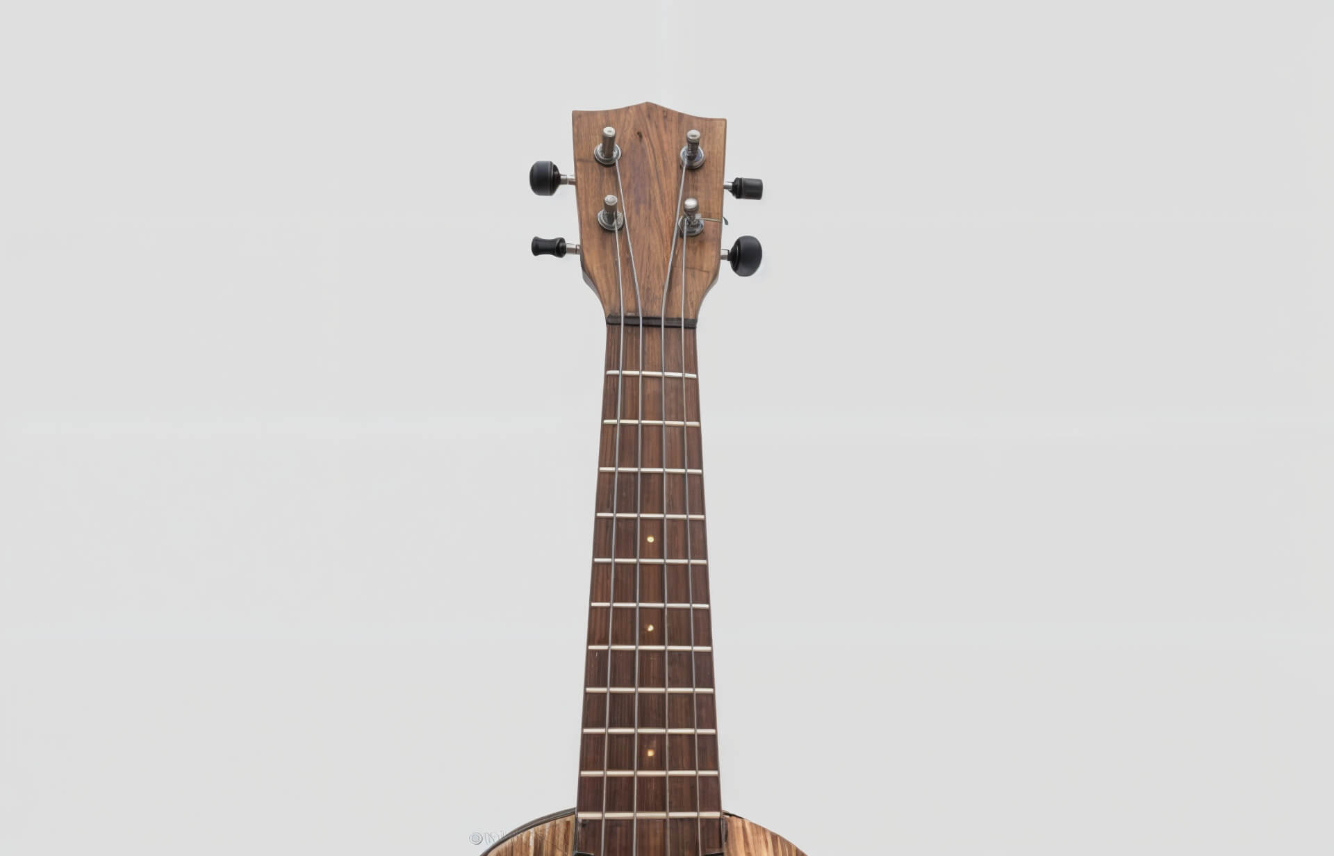 Ukulele Guitar - 3D Model by Louther02