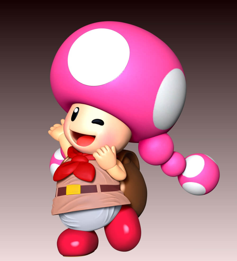 Toadette - Mario 3D Model by lovemodel