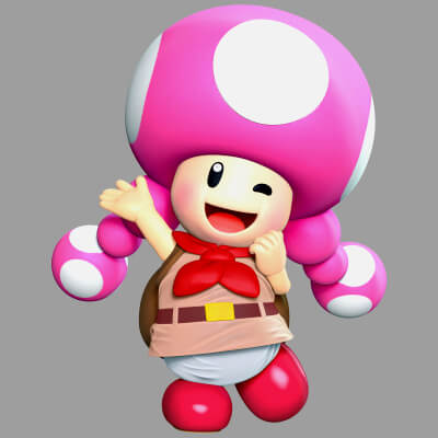 Toadette - Mario 3D Model by lovemodel