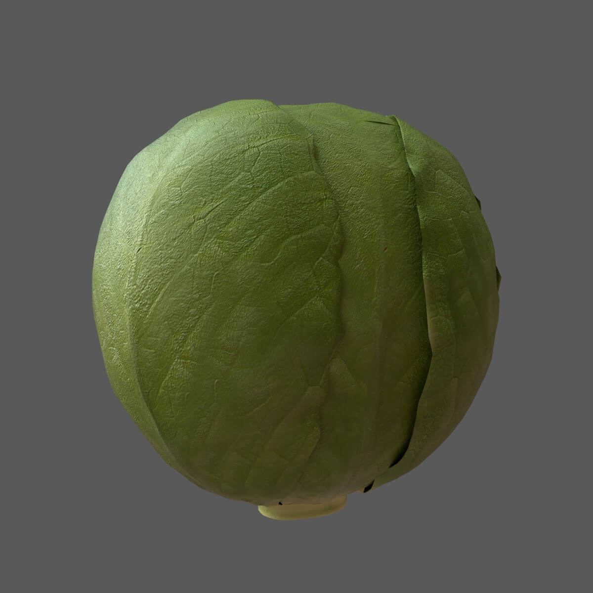 Cabbage Low Poly 3D Model by LowPoly-Studio