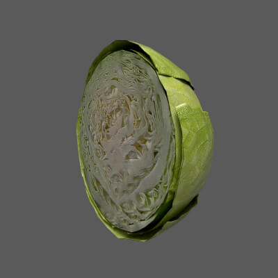 Cabbage Low Poly 3D Model by LowPoly-Studio