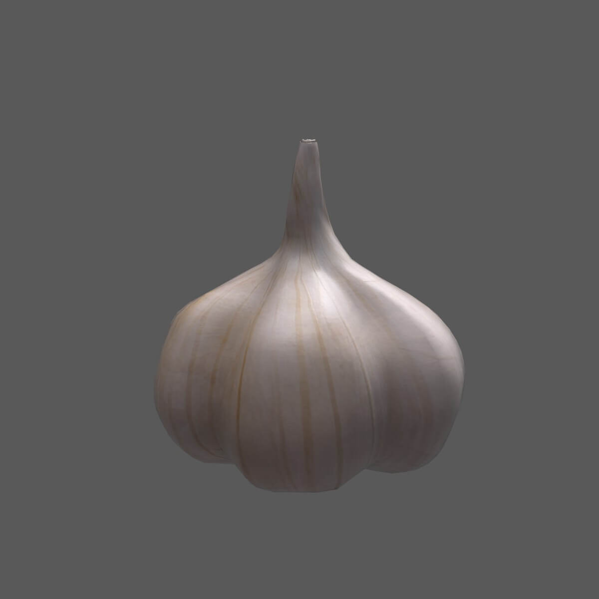 Garlic Vegetable - 3D Model by LowPoly-Studio